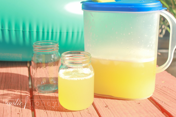 Summer Brew 5 Gallon Recipe | Besto Blog